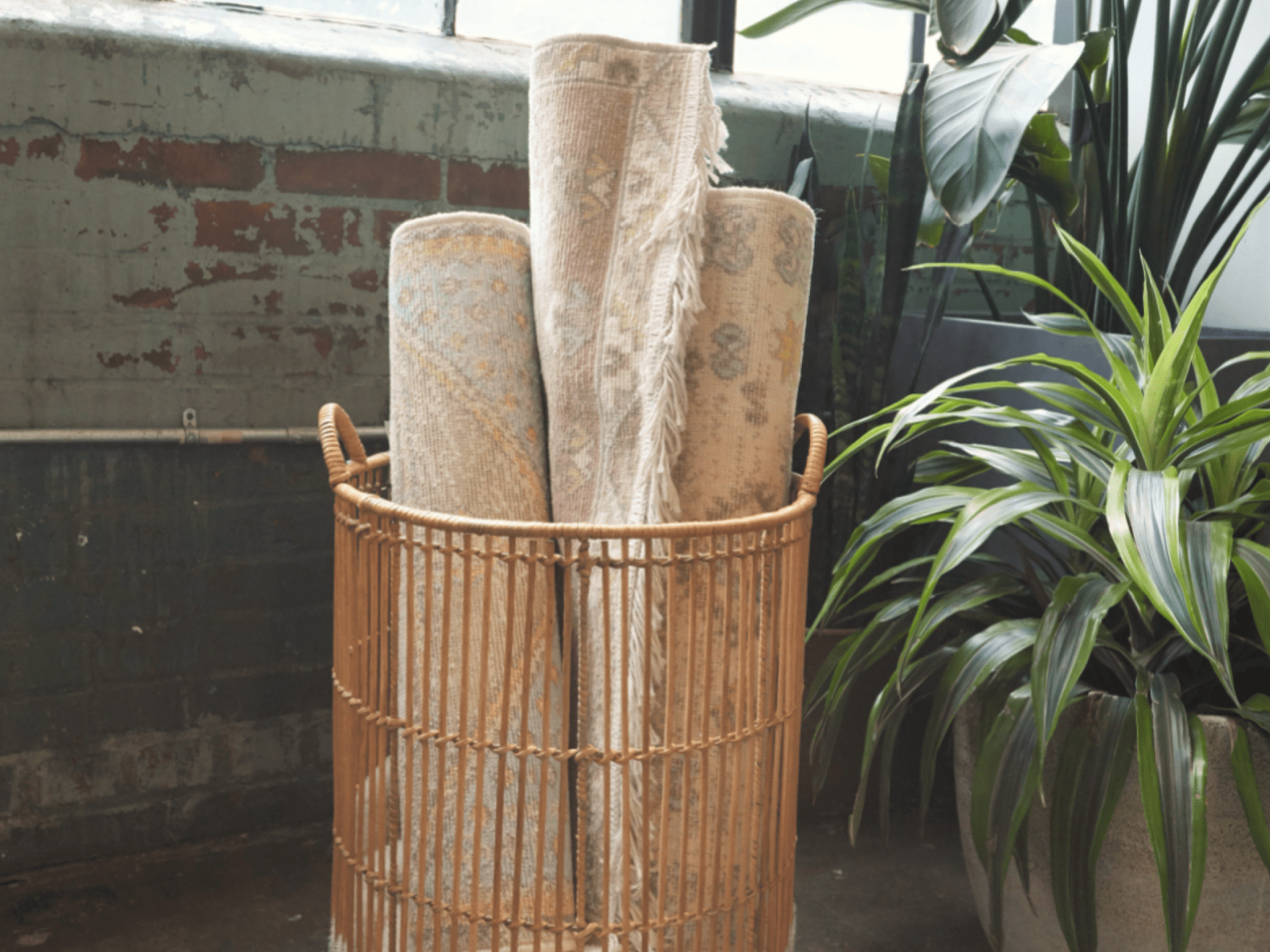 Balta Rugs - Where Design Meets Affordability