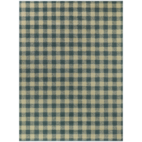 Rogers Gingham Area Rug - Balta Rugs